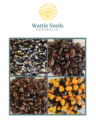 Wattle Seeds Australia Information Public Seminar — Victorian Landcare ...